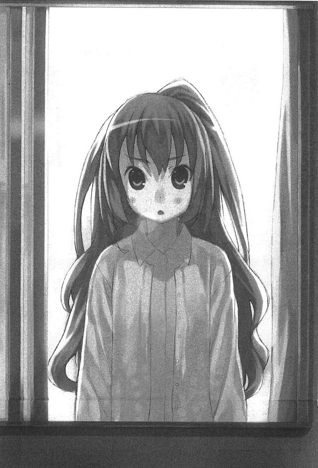 File:Toradora vol08 031.jpg - Baka-Tsuki